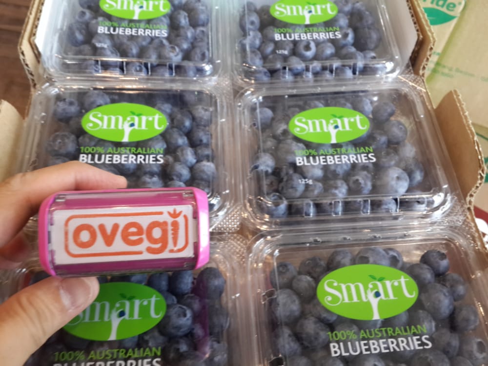 BLUEBERRY AUSTRALIA - OVEGI