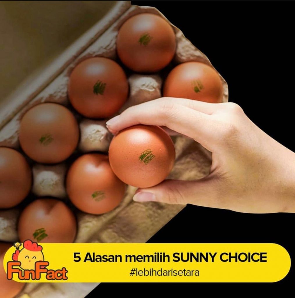 SUNNY CHOICE PREMIUM FRESH EGGS (TELUR AYAM NEGERI) - OVEGI