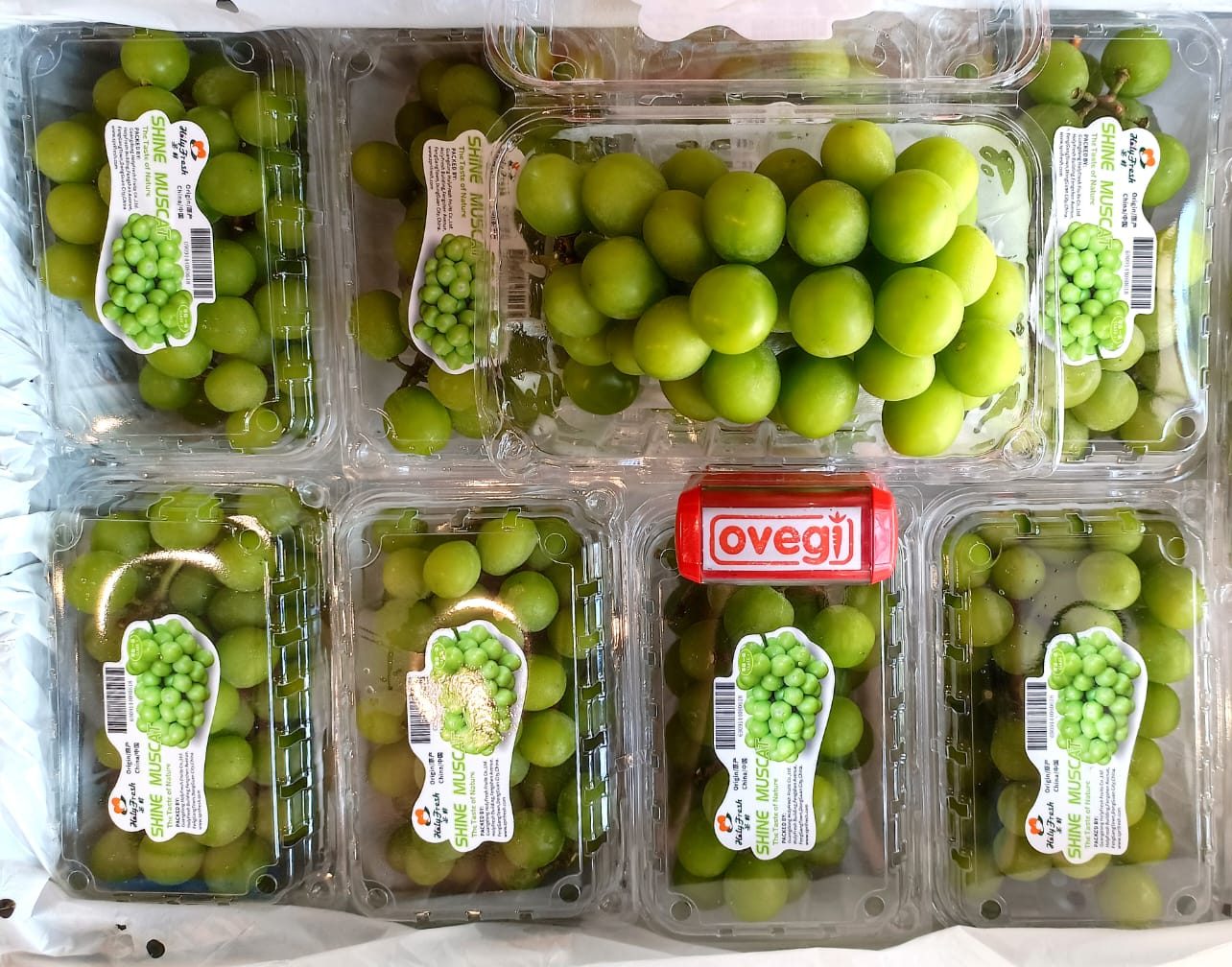 MUSCAT GRAPES PACK - OVEGI