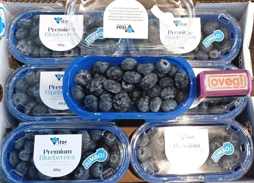 BLUEBERRY JUMBO AUSTRALIA - OVEGI