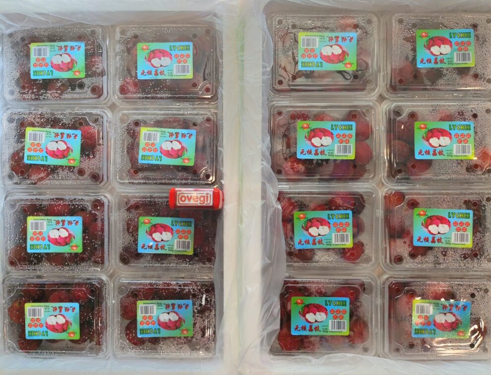 LYCHEE SEEDLESS PACK - OVEGI